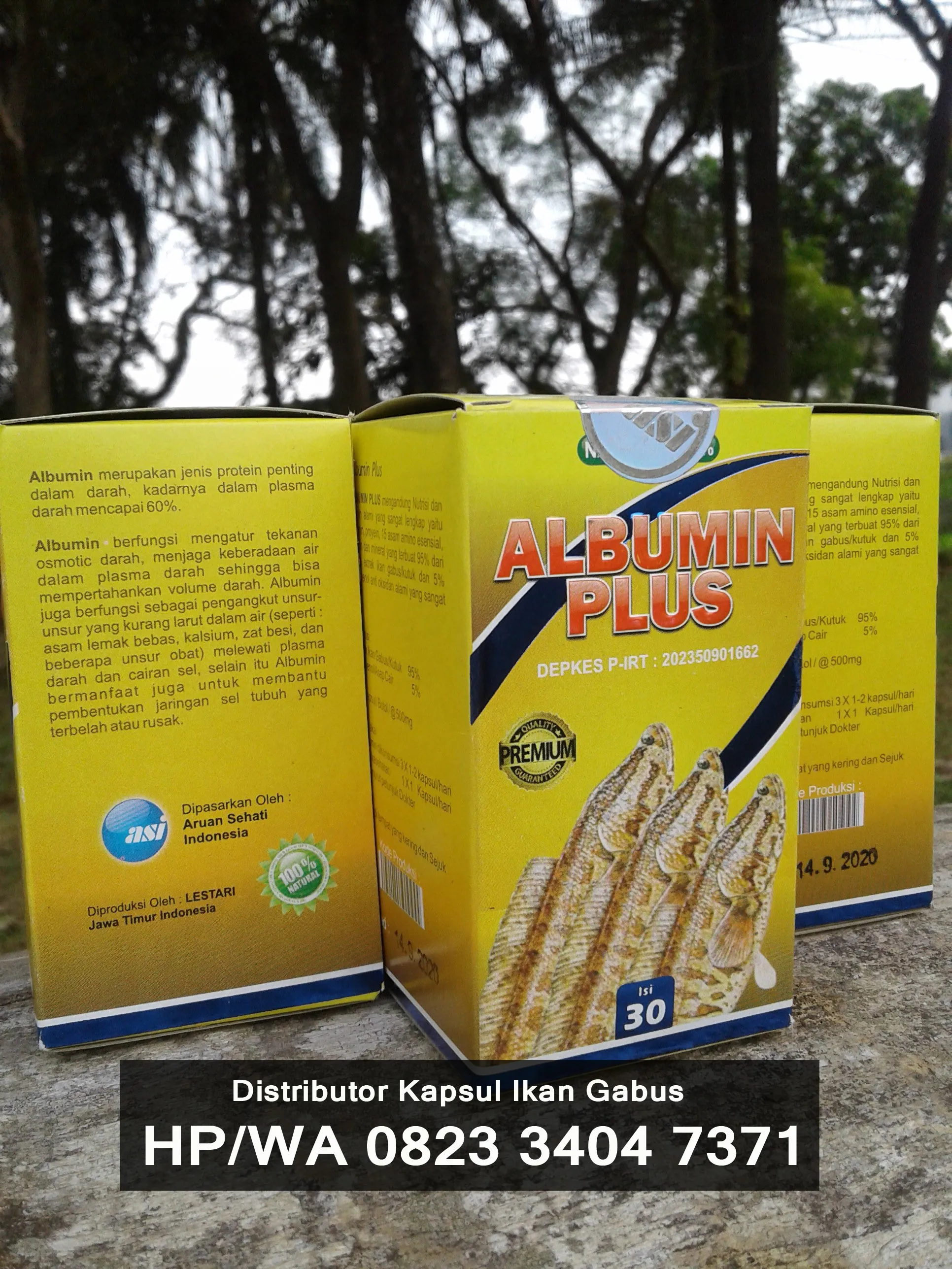 Harga Obat Albumin d Gorontalo Untuk Ginjal Albumin Plus Tilamuta ...