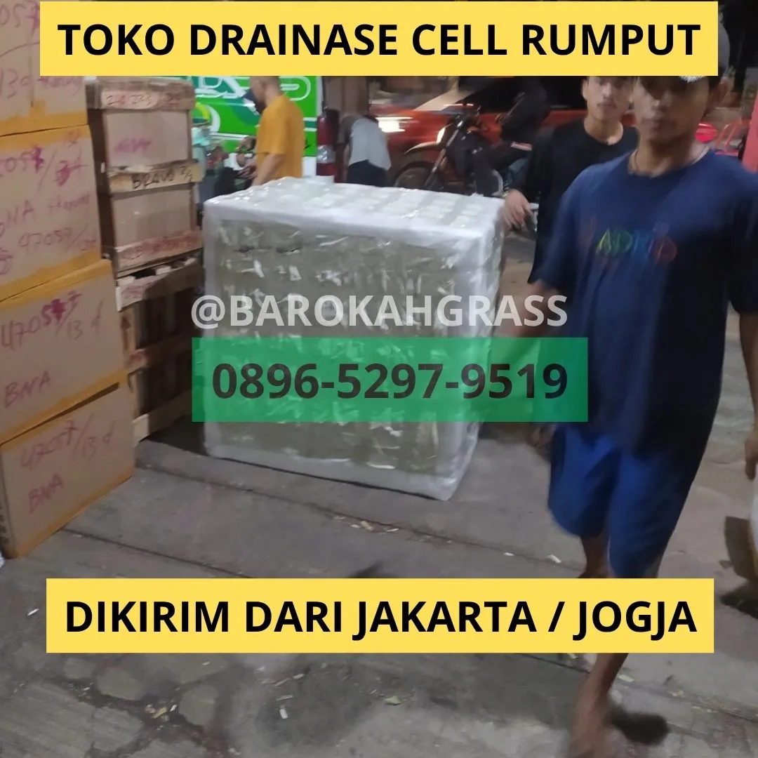 Tempat Beli Drainage Cell Situbondo Suboh - Barokah Grass, Rumah Tangga ...