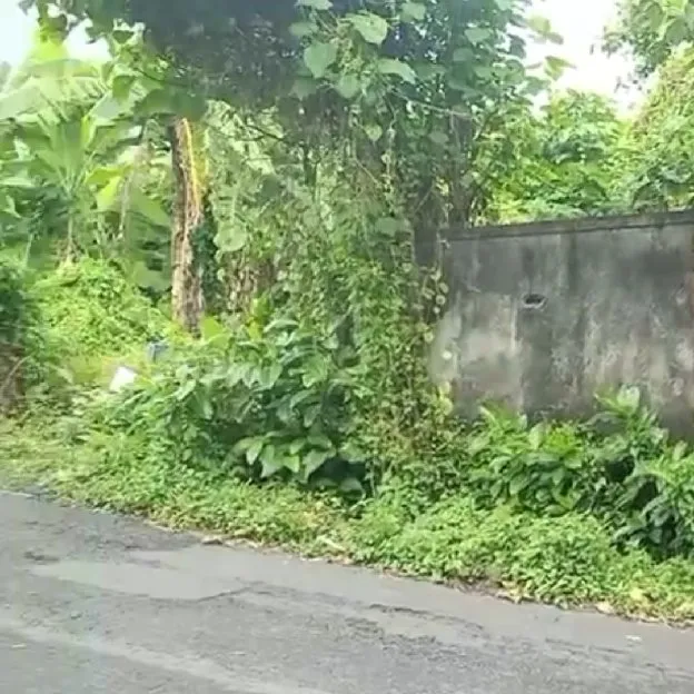 Dijual 7,88 are, Jl. Gn. Catur Permata Gatsu Cargo Ubung Denpasar ...