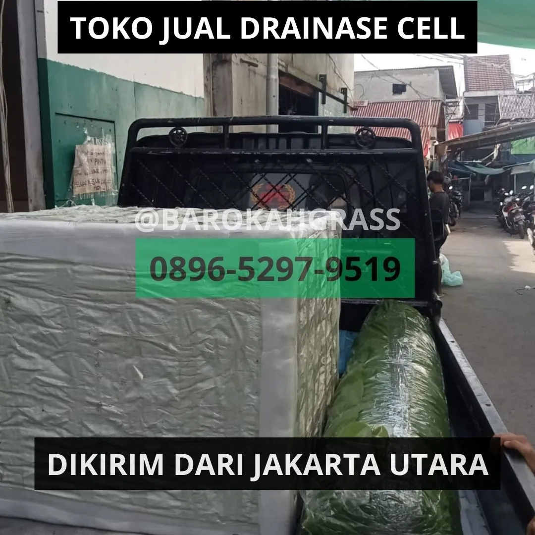 Tempat Beli Alas Rumput Sintetis Depok Beji - Barokah Grass, Rumah ...