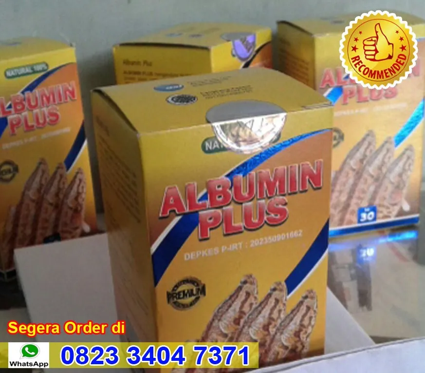 Jual Obat Albumin ke Ambon Maluku Untuk Patah Tulang Albumin Plus ...