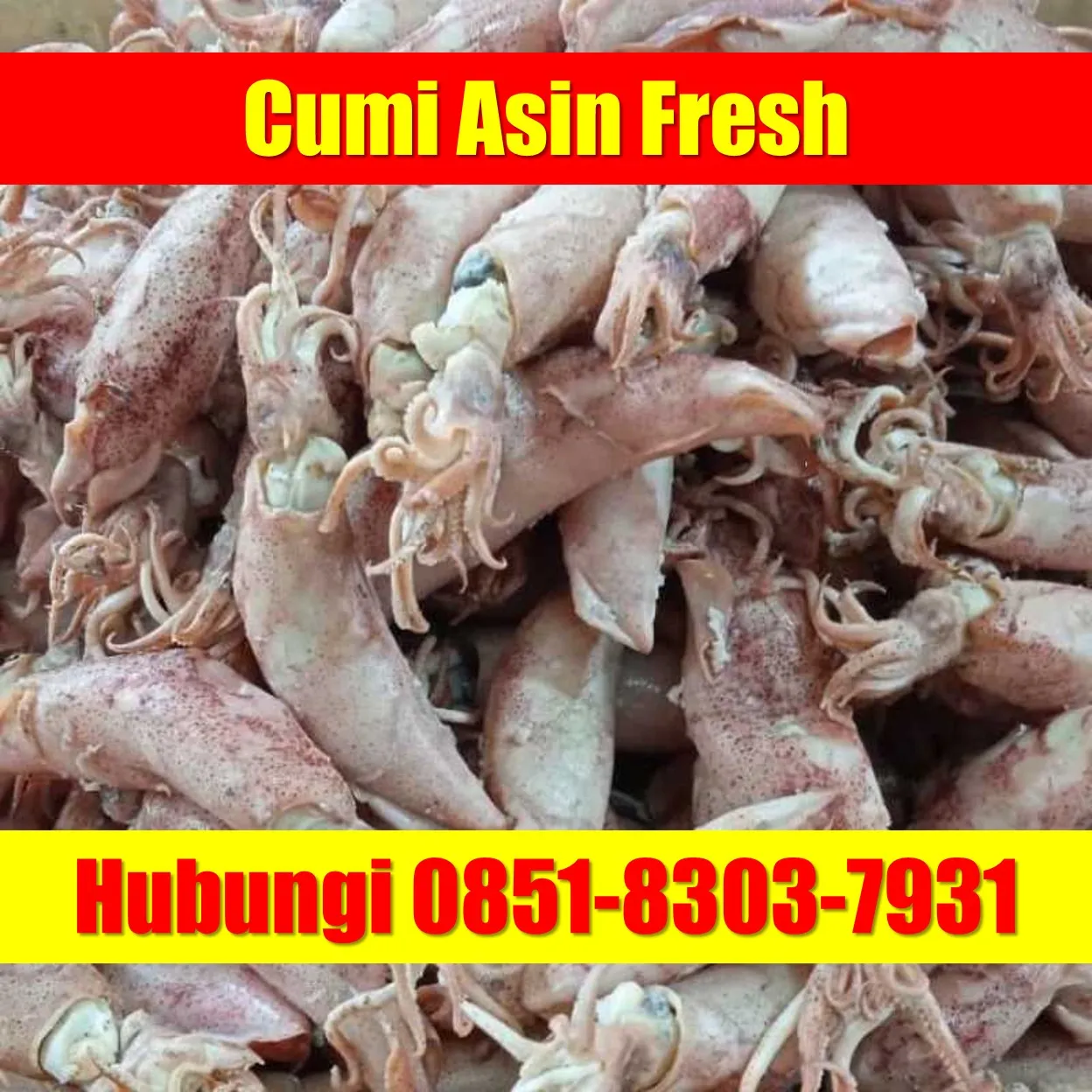 Fresh SEGAR, Jual Cumi Asin Baby Cumi Pamekasan, Keperluan Pribadi ...