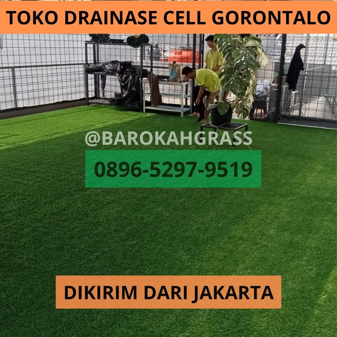 Alamat Toko Drainage Cell Gorontalo Sumalata - Barokah Grass, Rumah ...