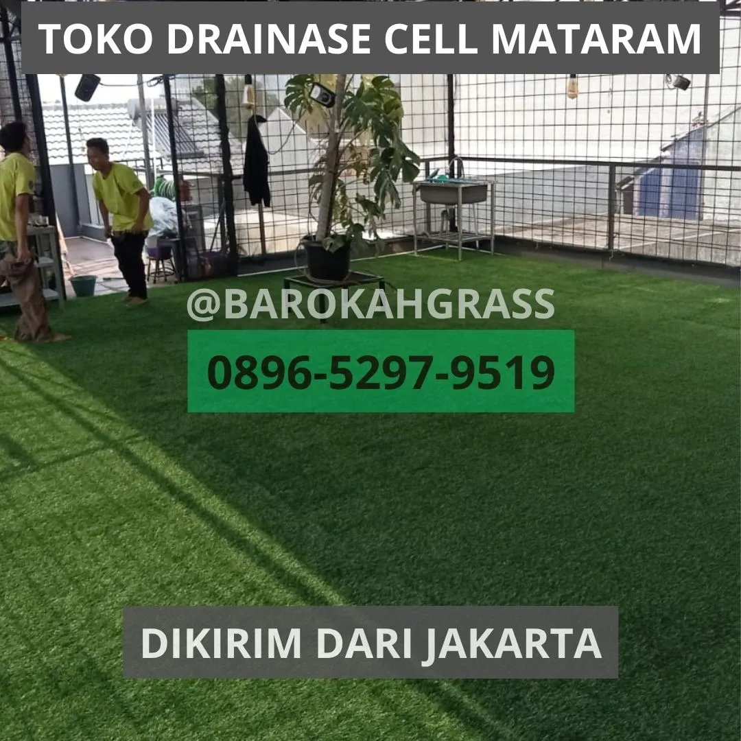 Jual Drainage Cell Mataram Kabupaten Lombok Timur - Barokah Grass ...