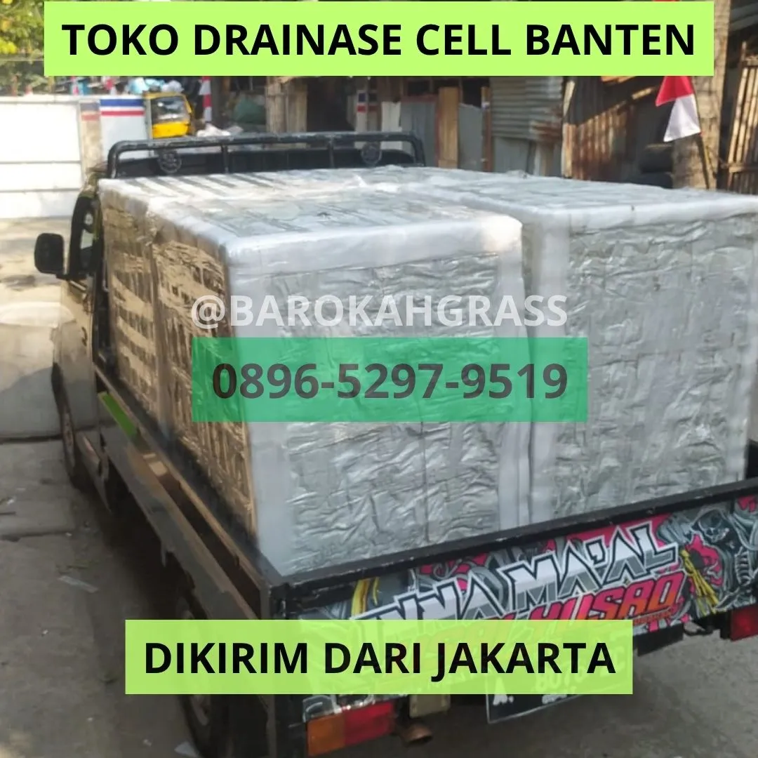Harga Drainage Cell Lebak Cihara - Barokah Grass, Rumah Tangga ...