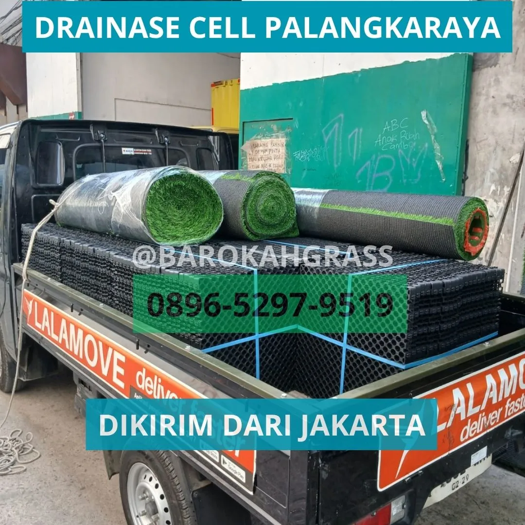 Harga Drainase Cell Palangkaraya Bulik - Barokah Grass, Rumah Tangga ...