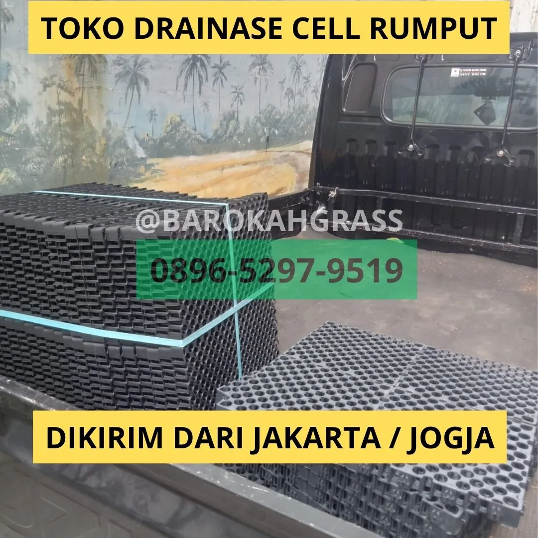 Tempat Beli Drainase Cell Pasuruan Grati - Barokah Grass, Rumah Tangga ...